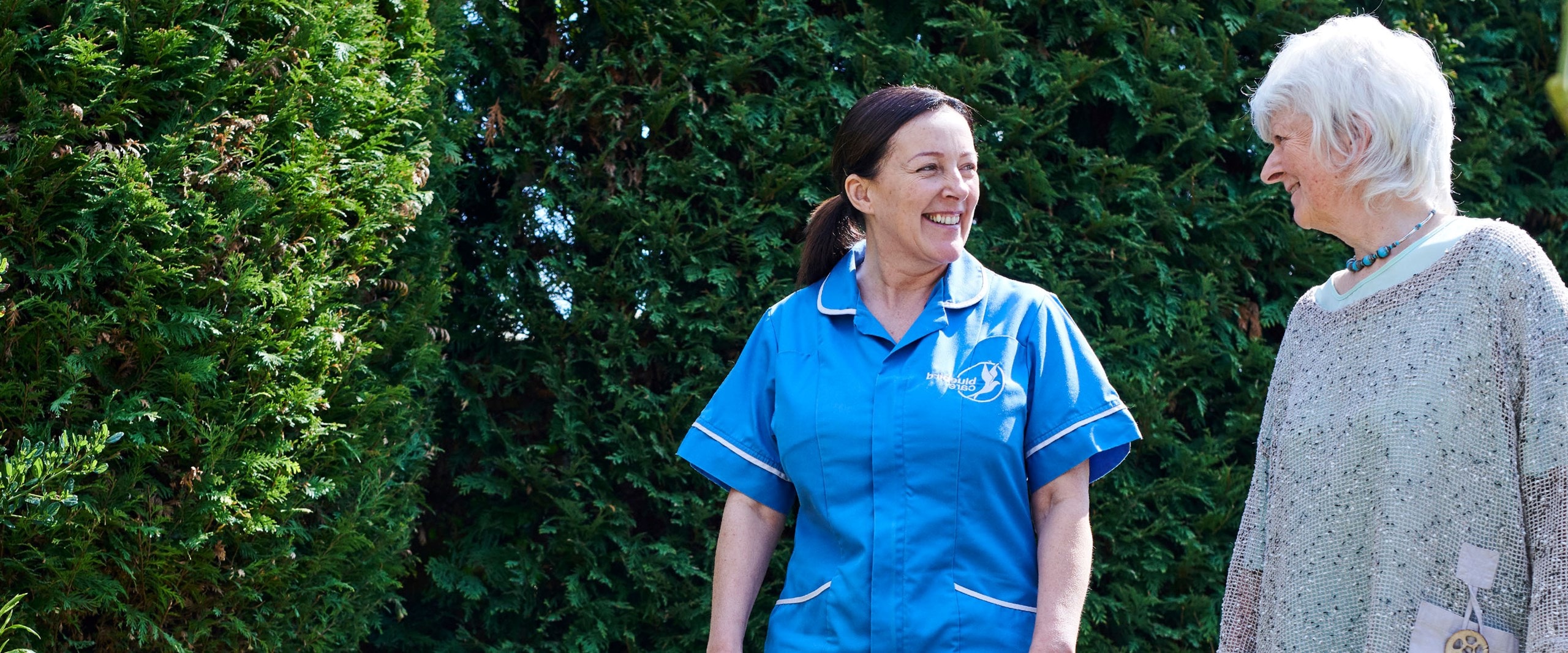 About us | Bluebird Care