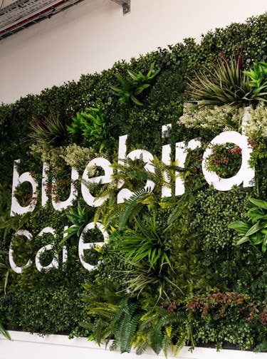 Setting the Gold Standard with a 98% Audit Outcome | Bluebird Care